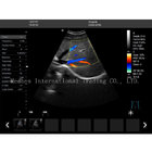 Medical 4D Color Doppler Trolley Ultrasound for Clinic supplier