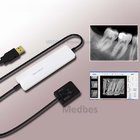 Dental Products New Type X-ray Sensor Dental Digital Sensor supplier