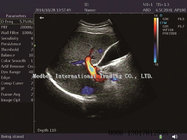 Portable 10.4 inch flicker free high resolution medical color LED Monitor color doppler ultrasound supplier