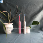 wholesale Electric Toothbrush supplier
