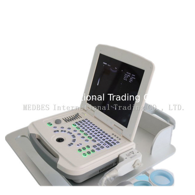 Labtop Vet Ultrasound Scanner Machine supplier
