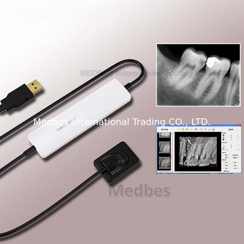 HD Efficient Multi-Users Easy to Operate Digital Dental X-ray Sensor supplier