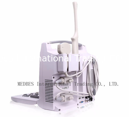 Labtop Ultrasound Scanner Machine with 2 connectors supplier