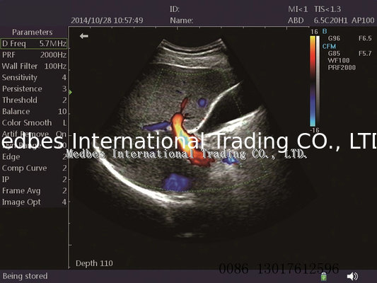 Portable 10.4 inch flicker free high resolution medical color LED Monitor color doppler ultrasound supplier