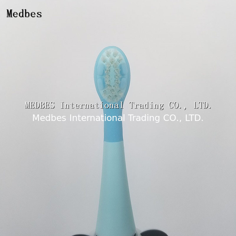 Waterproof Rechargeable Electric Toothbrush Tooth Whitening With Brush Heads Replacement Teeth Whitener Cleaning Oral supplier